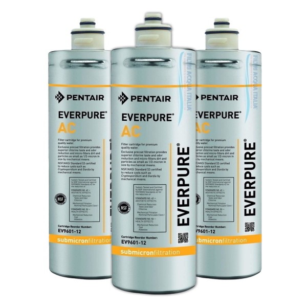 Filtri Everpure 4C, AC, 4DC, 2DC e S100 | Filtri Acqua Italia